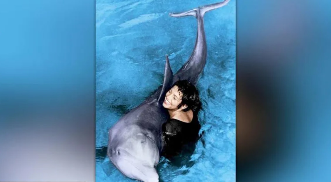 Experiment eșuat al NASA. Cum s-a sinucis un delfin